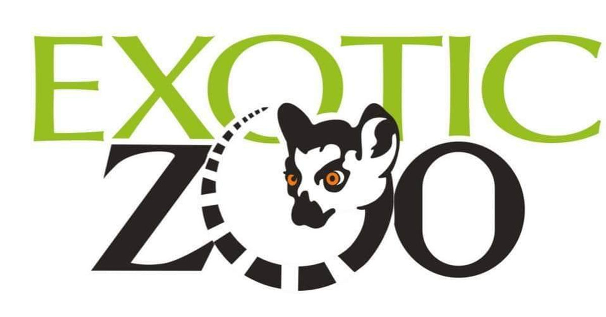 Our Zoo – Exotic Zoo Telford
