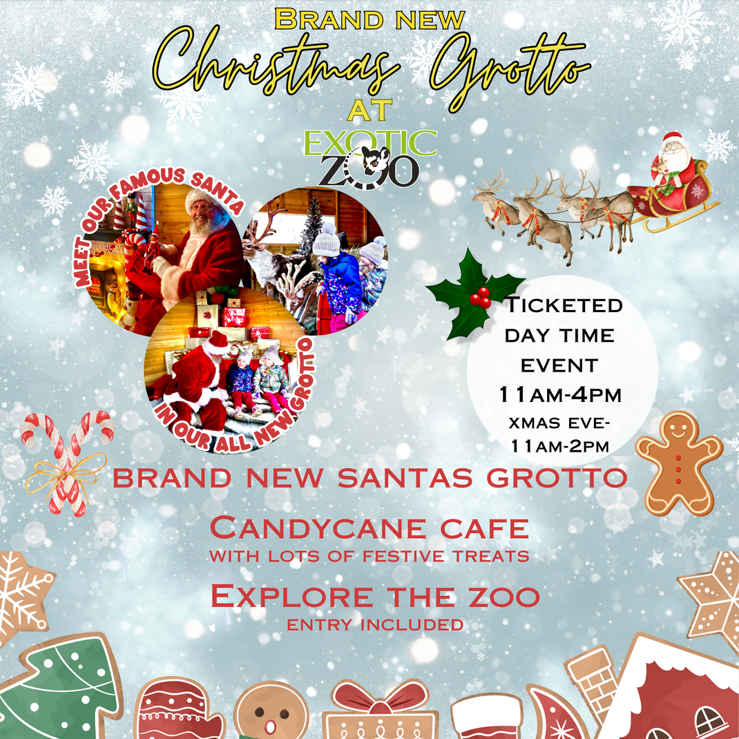 CHRISTMAS – Exotic Zoo Telford