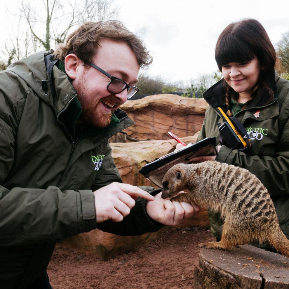 VIP private Zoo Keeper Experience – Exotic Zoo Telford